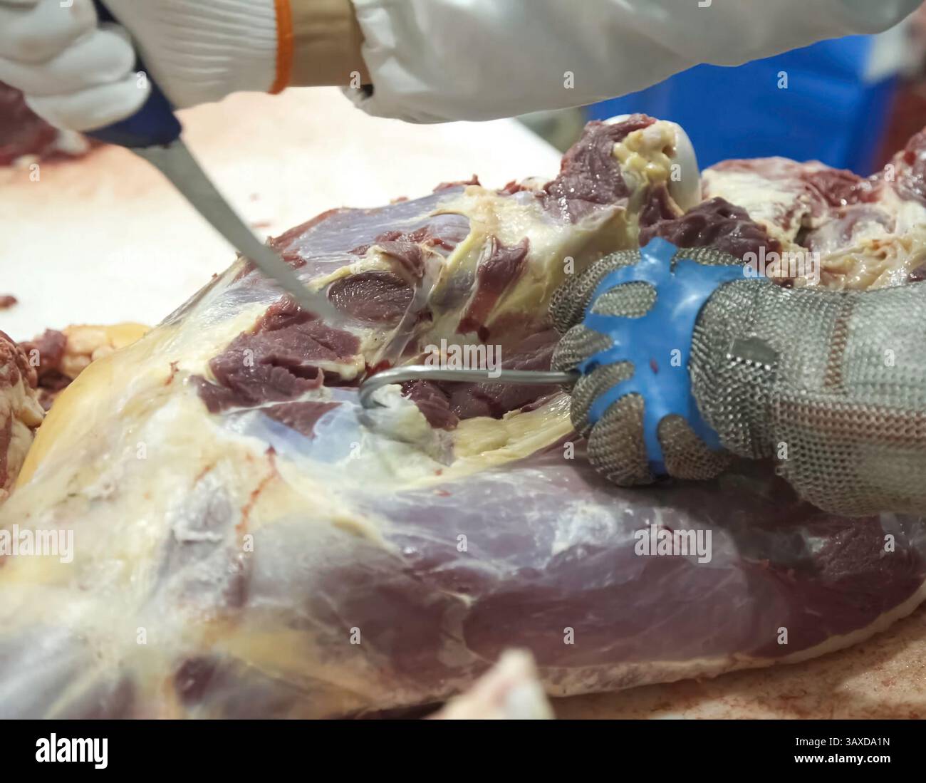 Beef and pork carcass cutting shop. Meat department. meat processing ...