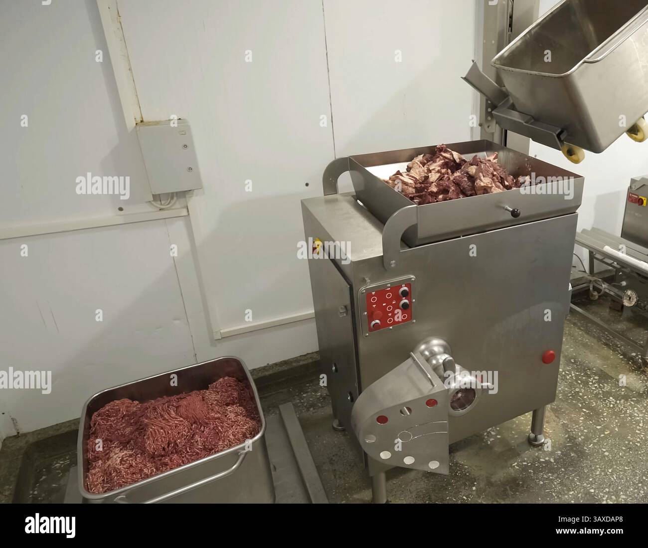 grinding meat in an industrial meat grinder. Auger meat grinder and ...