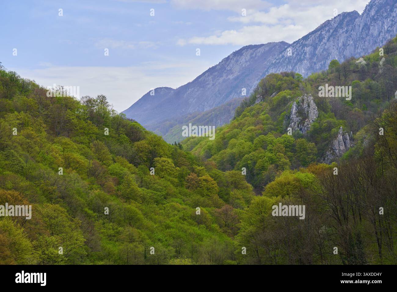 Lush green forested hills and rocky ridges under a partly cloudy spring ...