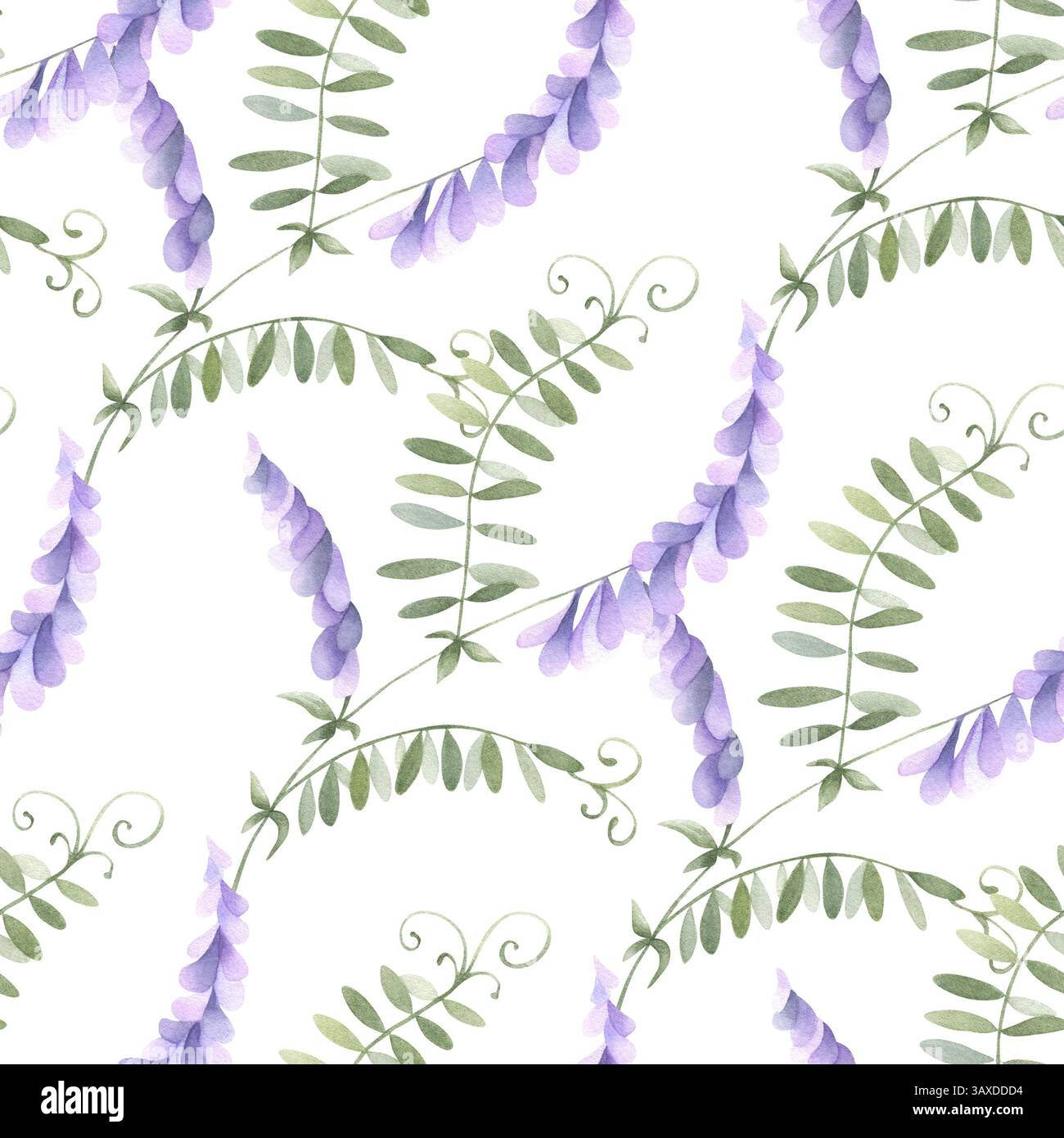 Wildflowers lilac mouse pea. Seamless floral watercolor pattern of ...