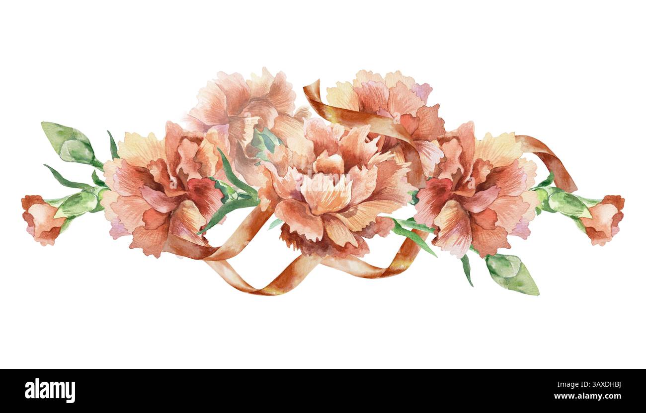 Red carnations, horizontal banner. Hand drawn watercolor illustration ...