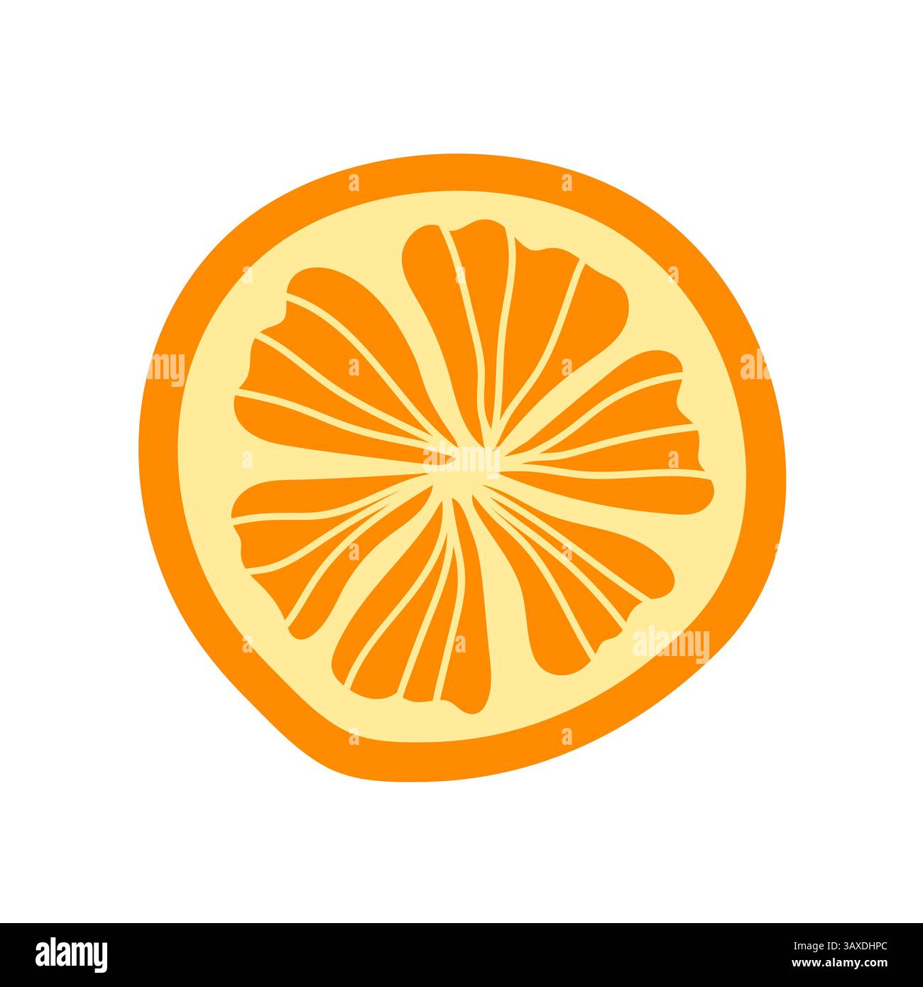 Orange citrus half slice fruit vector illustration Stock Vector Image ...