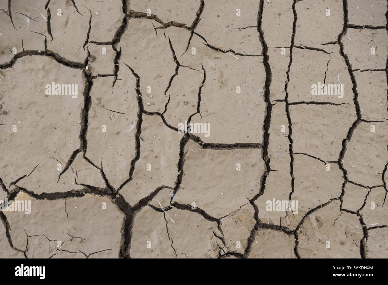 Dryness and drought lead to parched earth - Earth's crust, climate ...