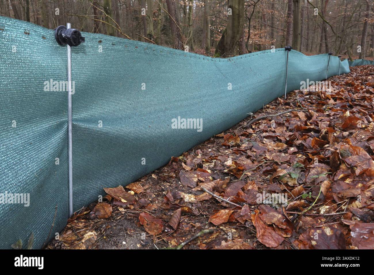 Social fence hi-res stock photography and images - Alamy