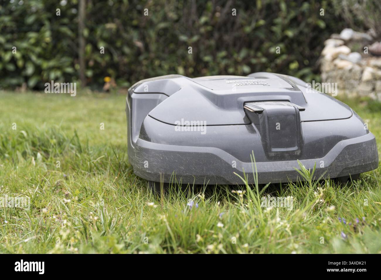Robot mower maintains lawn in the garden - Robot lawn mower Stock Photo ...