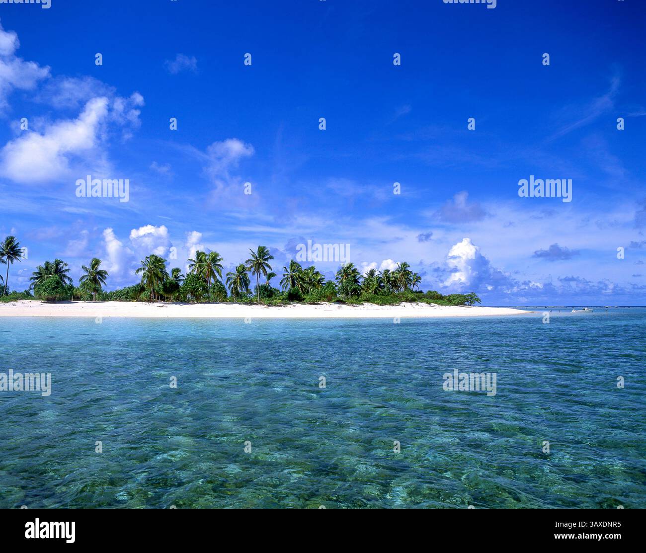 Tropical Island, Aitutaki Atoll, Cook Islands, South Pacific Stock ...