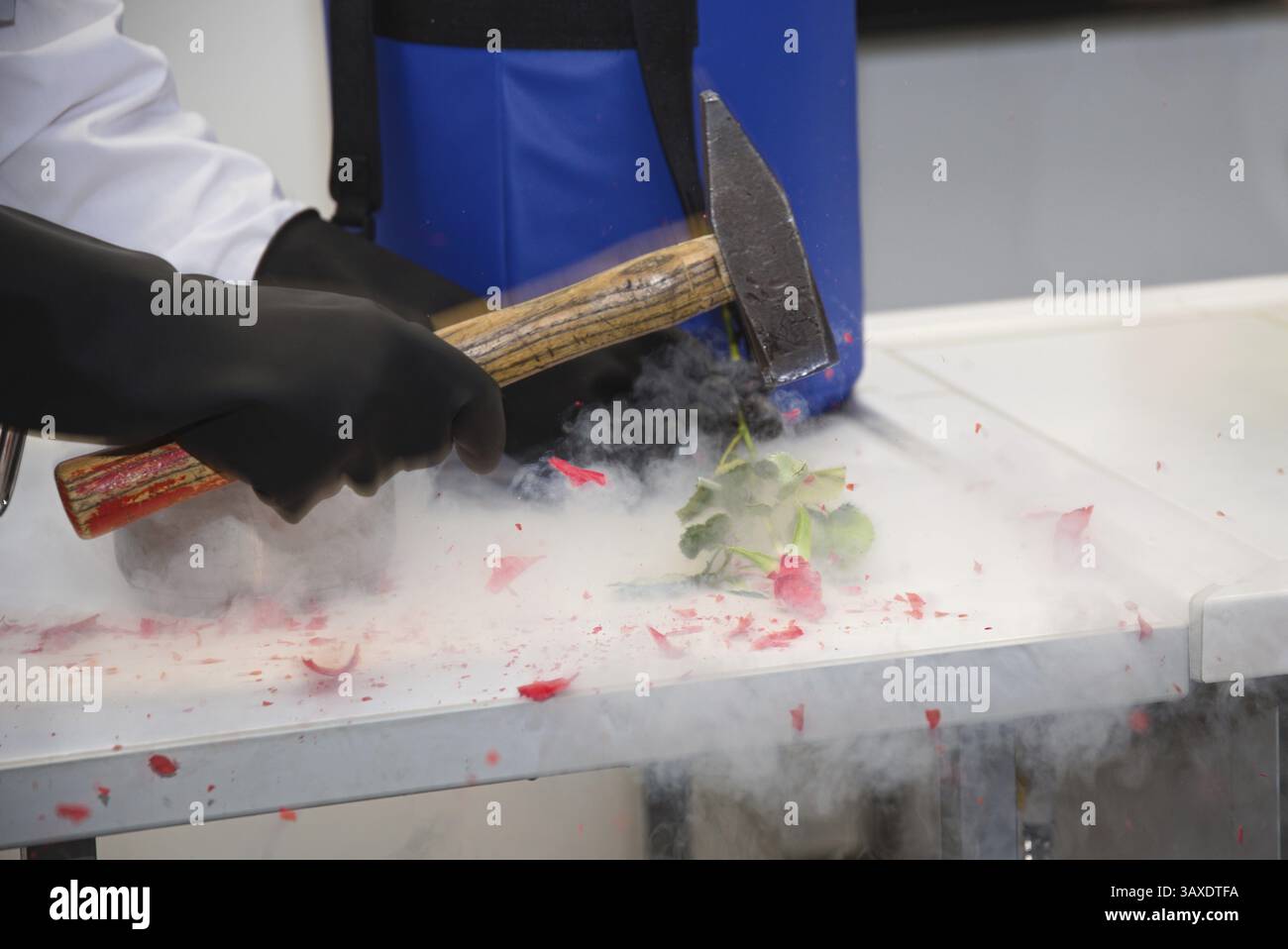 Liquid nitrogen flower hi-res stock photography and images - Alamy