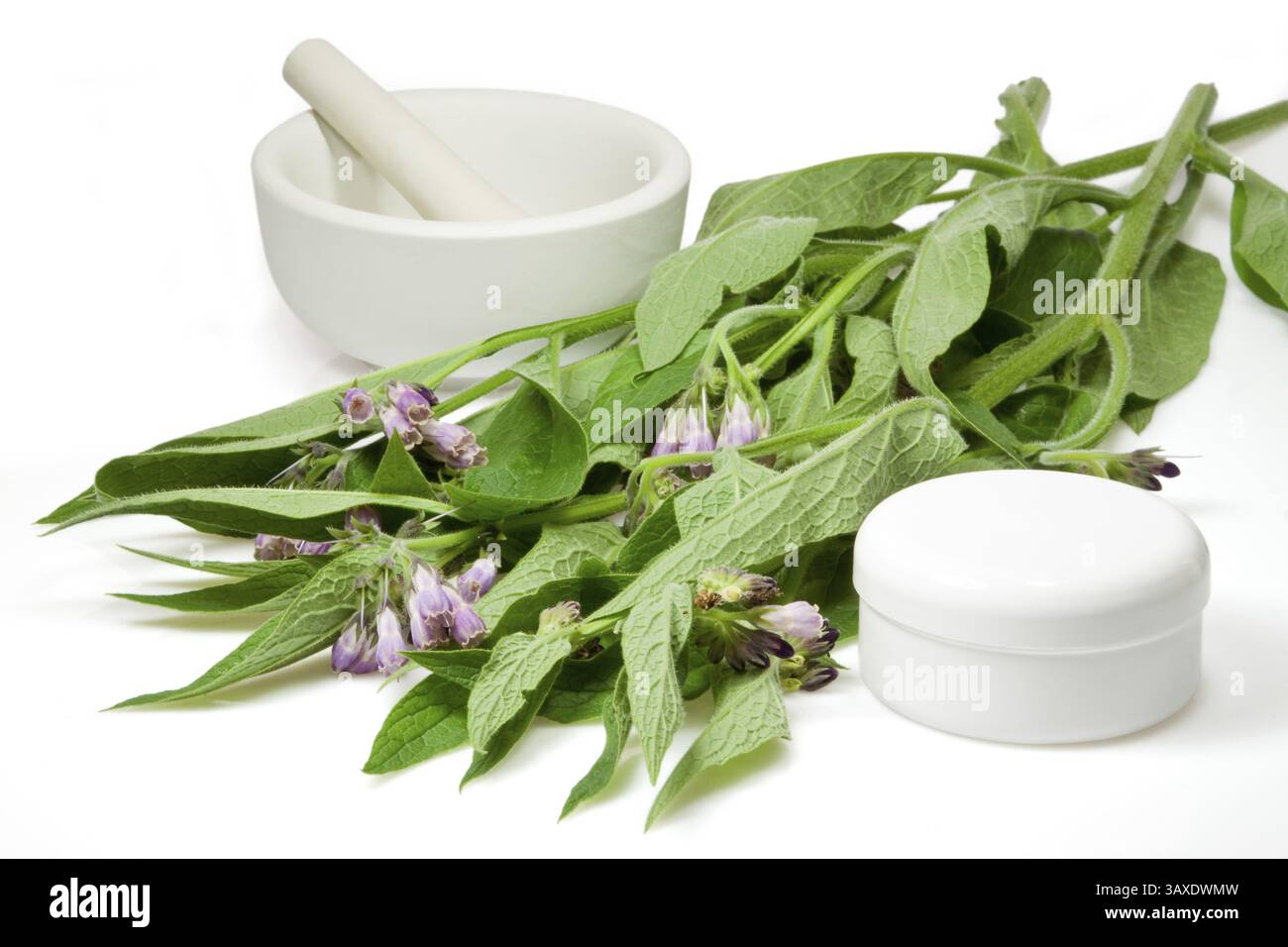Comfrey with mortar and cream jar Stock Photo - Alamy