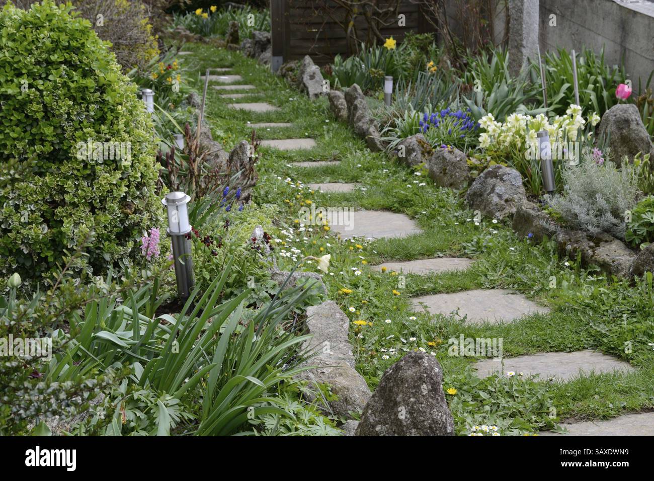 Stone slabs form a path through a flowery garden Stock Photo - Alamy