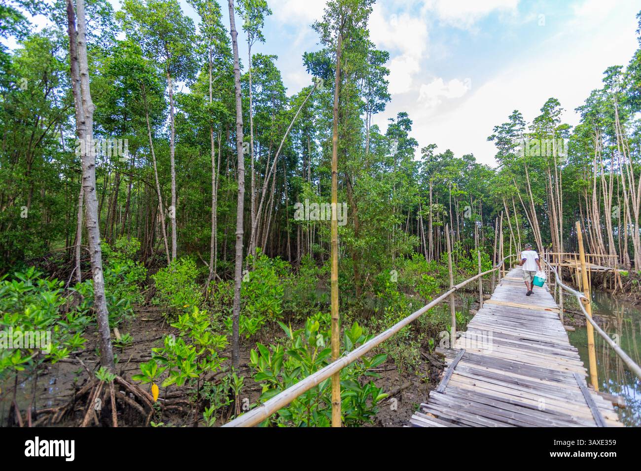 A scenic bamboo walkway winds through the lush mangrove forest of Bakhawan Ecopark in Kalibo ...