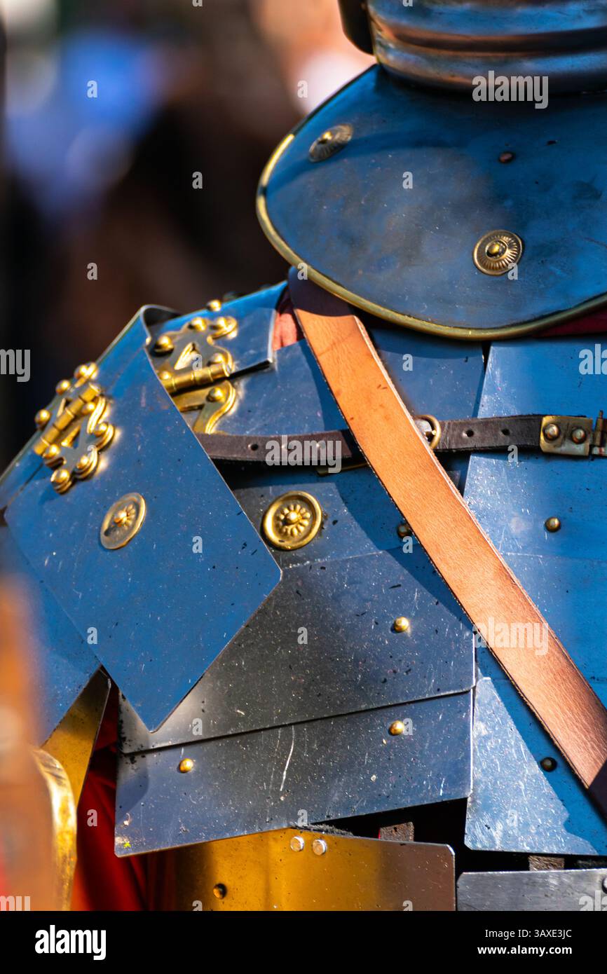 Lorica segmentation hi-res stock photography and images - Alamy