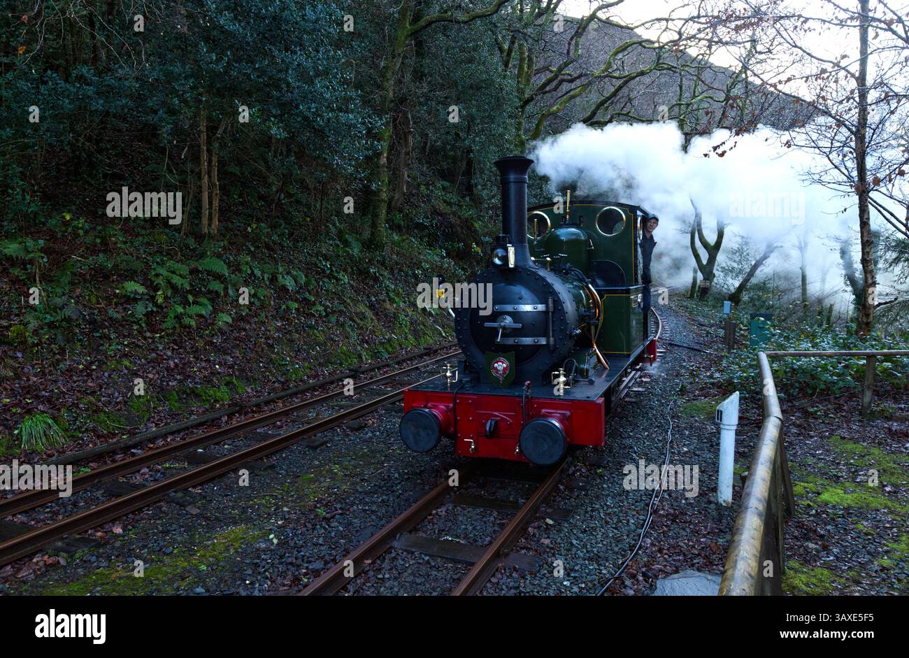 Steam train - Talyllyn Railway Stock Photo - Alamy