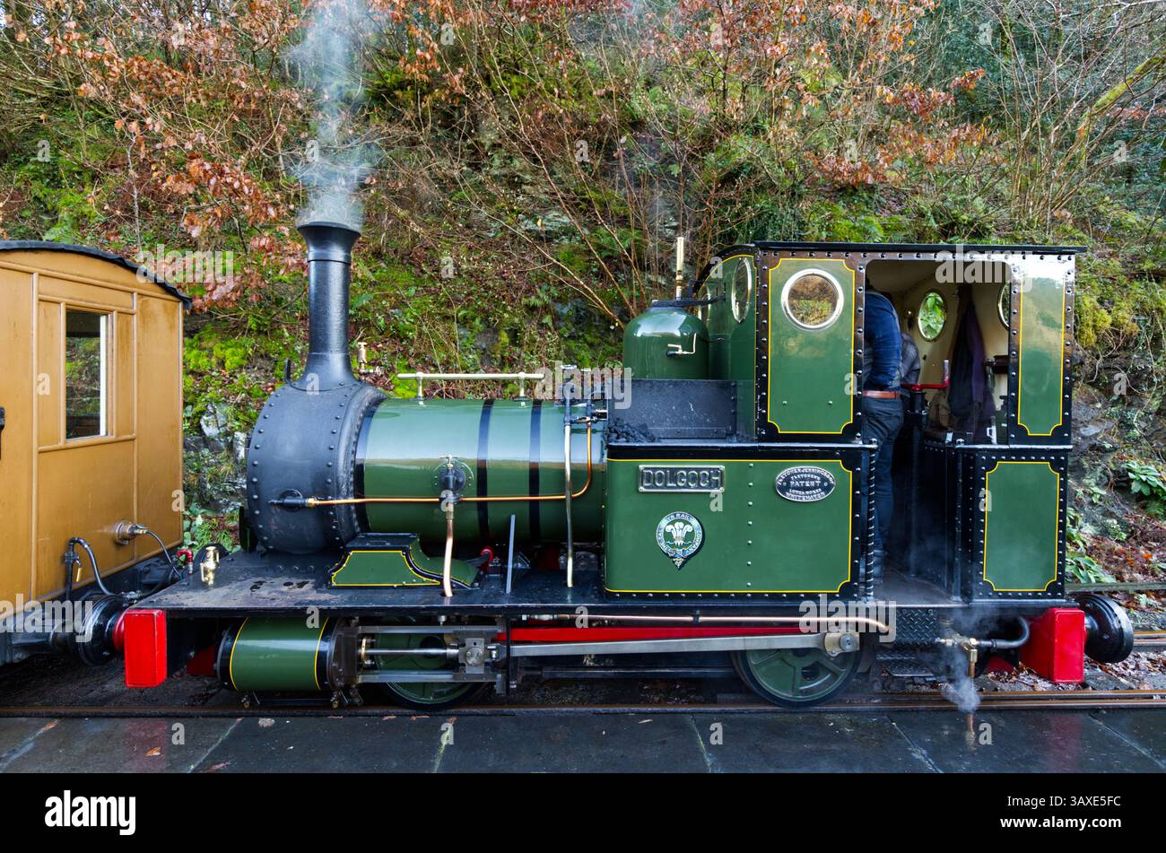 Steam train - Talyllyn Railway Stock Photo - Alamy
