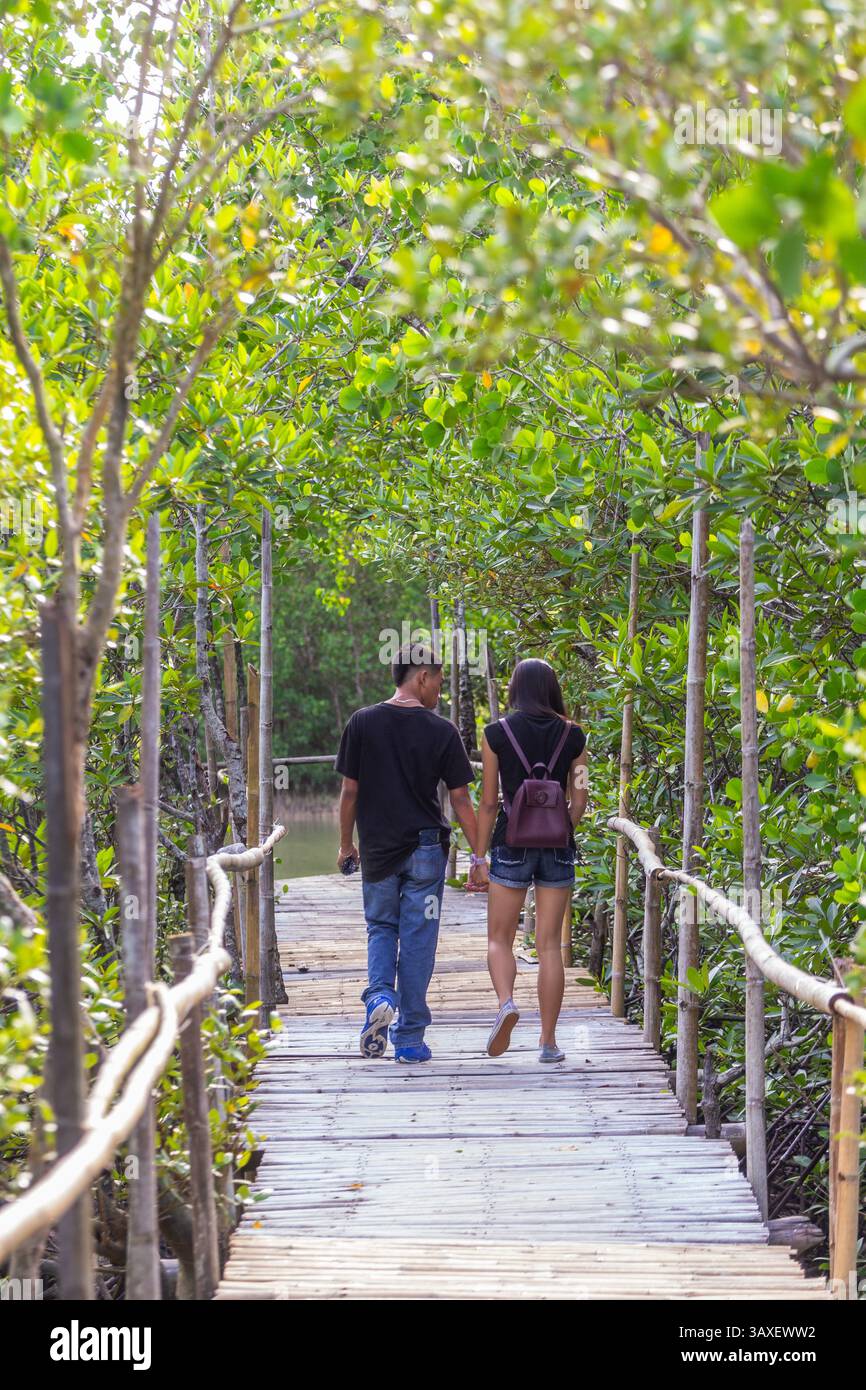 A young couple strolls along the bamboo pathway surrounded by mangrove ...