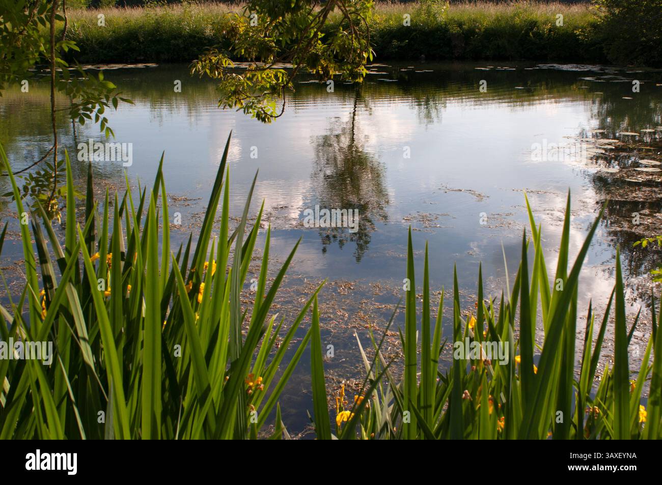 Sergi beautiful hi-res stock photography and images - Alamy