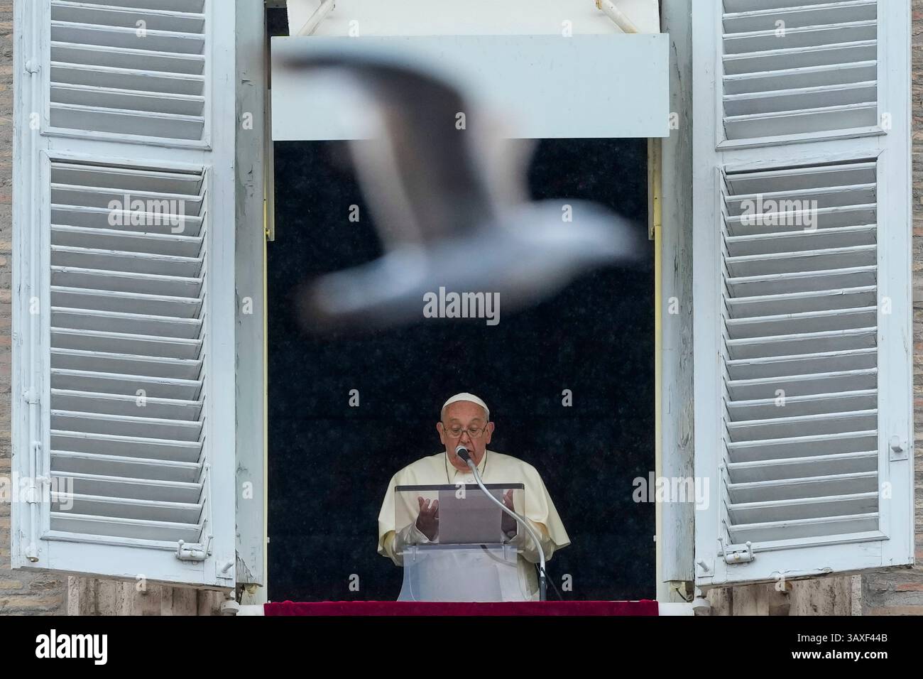 FILE - A seagull flies in front of Pope Francis as he speaks to the ...