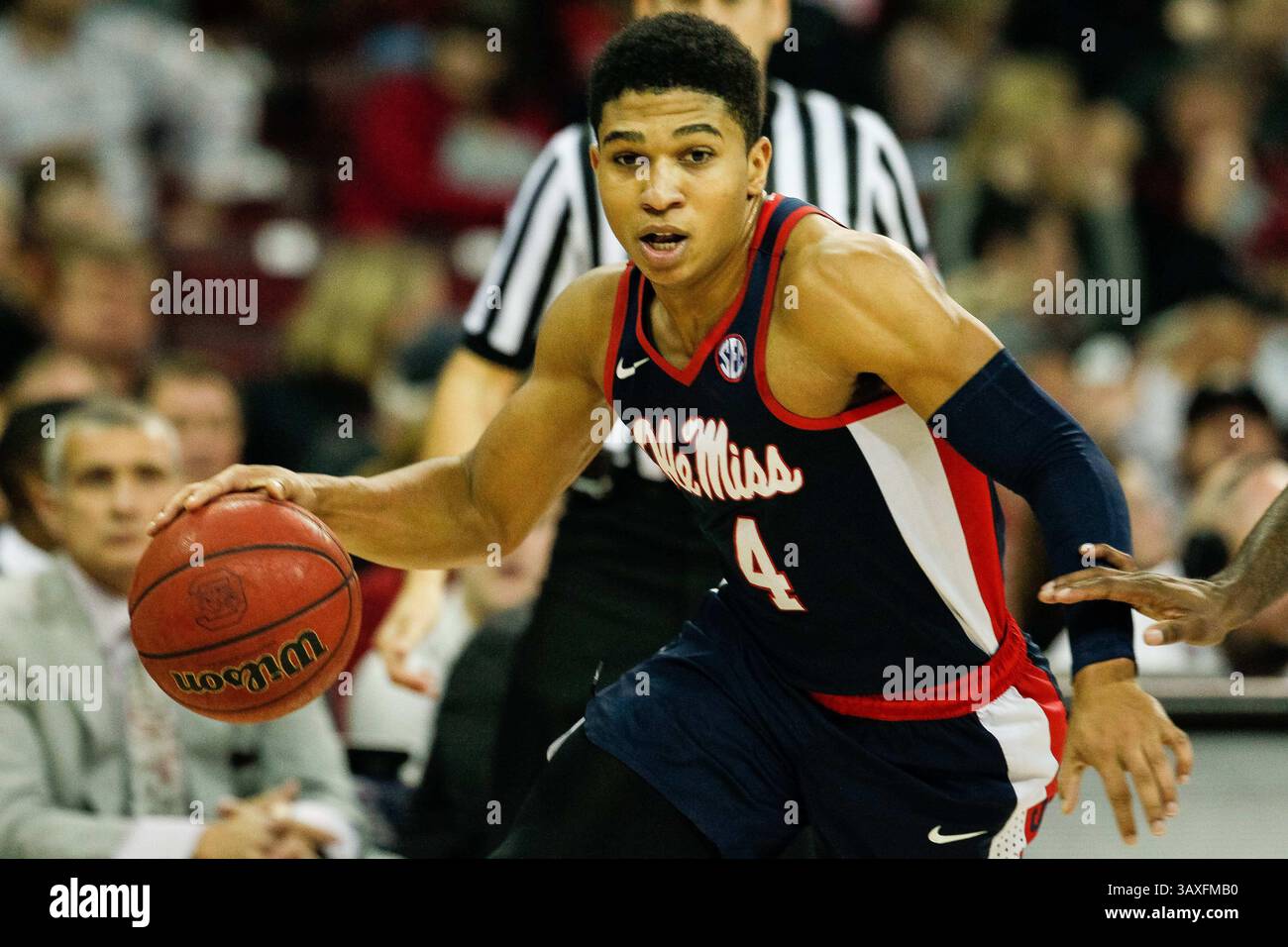 Tyree of life hi-res stock photography and images - Alamy