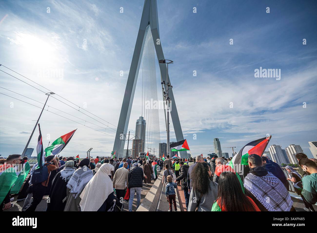 Rotterdam city Centre, Eramos Bridge, Rotterdam Town Hall. The ...