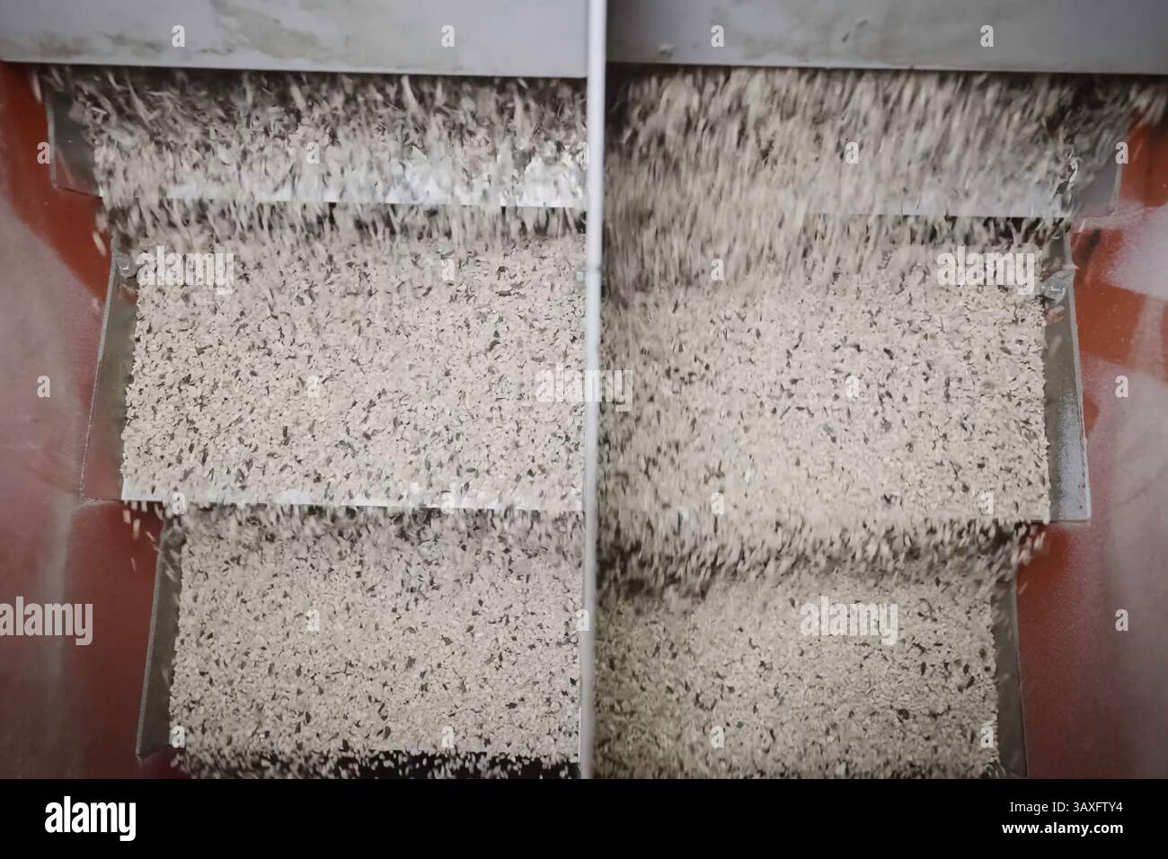 Rice factory conveyor production packaging hi-res stock photography and ...