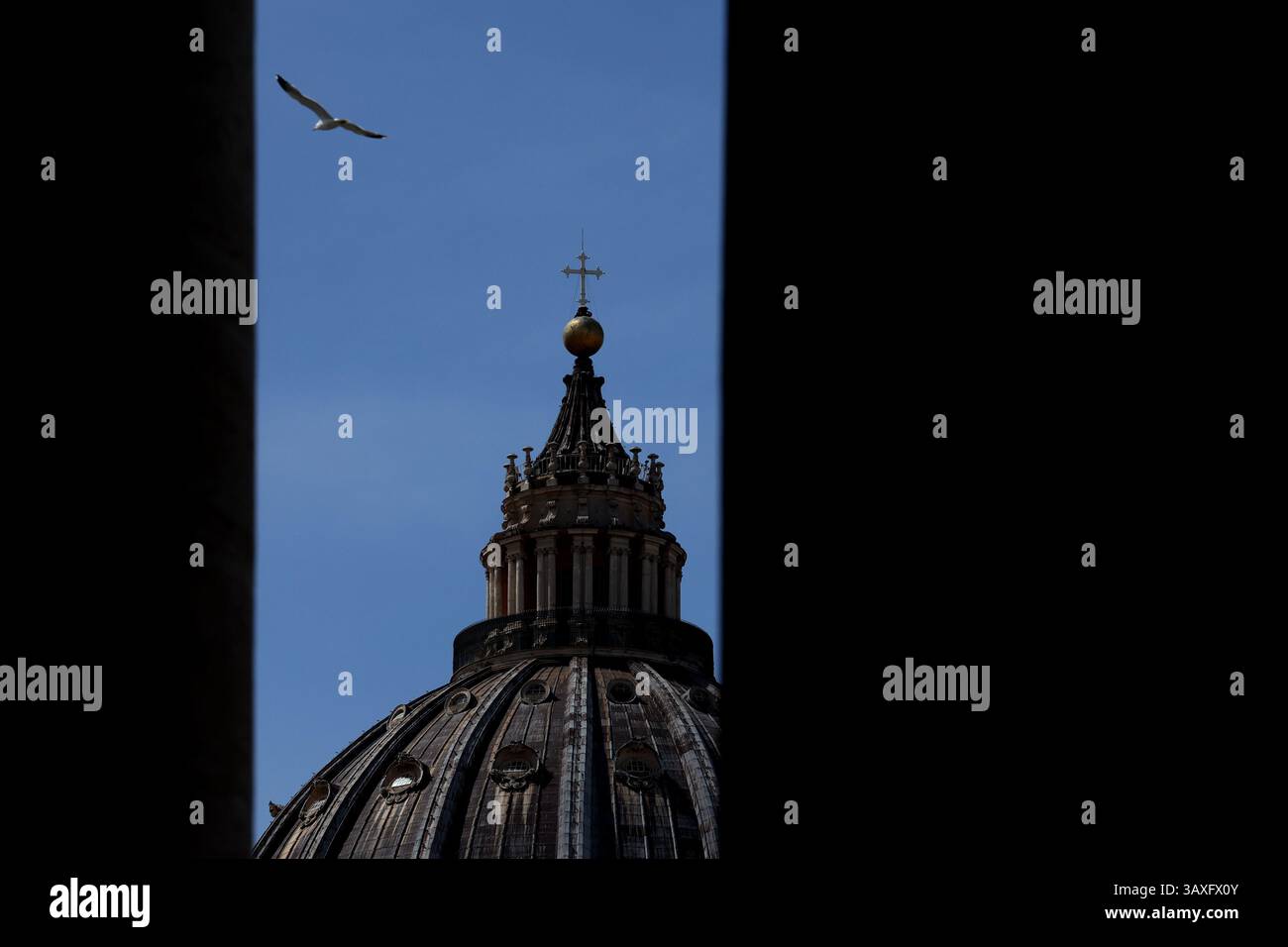 Rome, Italy. 21st Apr, 2025. Vatican City, Italy 21.04.2025: seagull ...