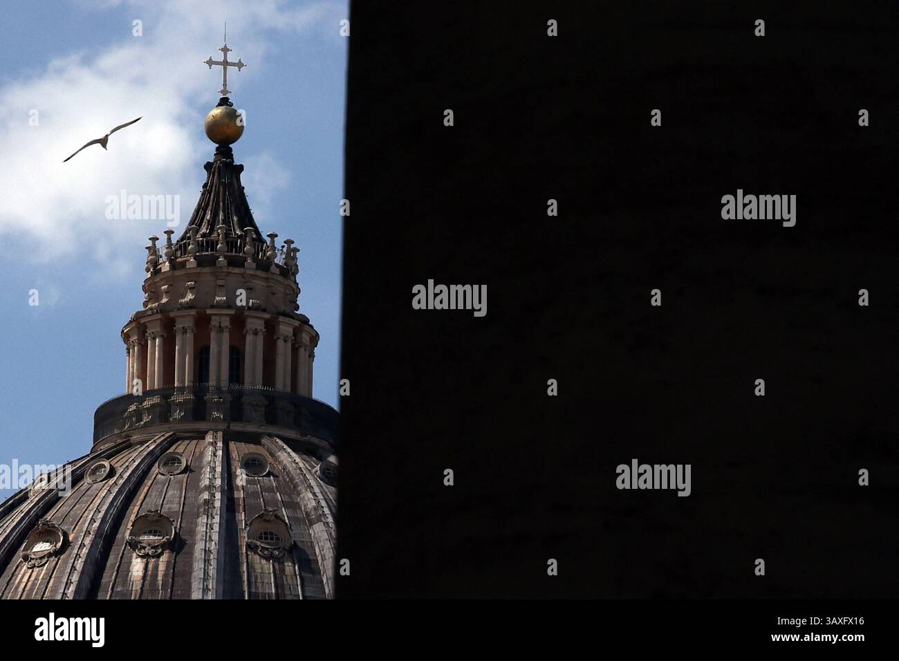 Rome, Italy. 21st Apr, 2025. Vatican City, Italy 21.04.2025: seagull ...