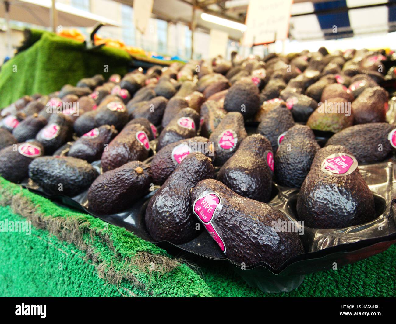 Retail ready avocados hi-res stock photography and images - Alamy