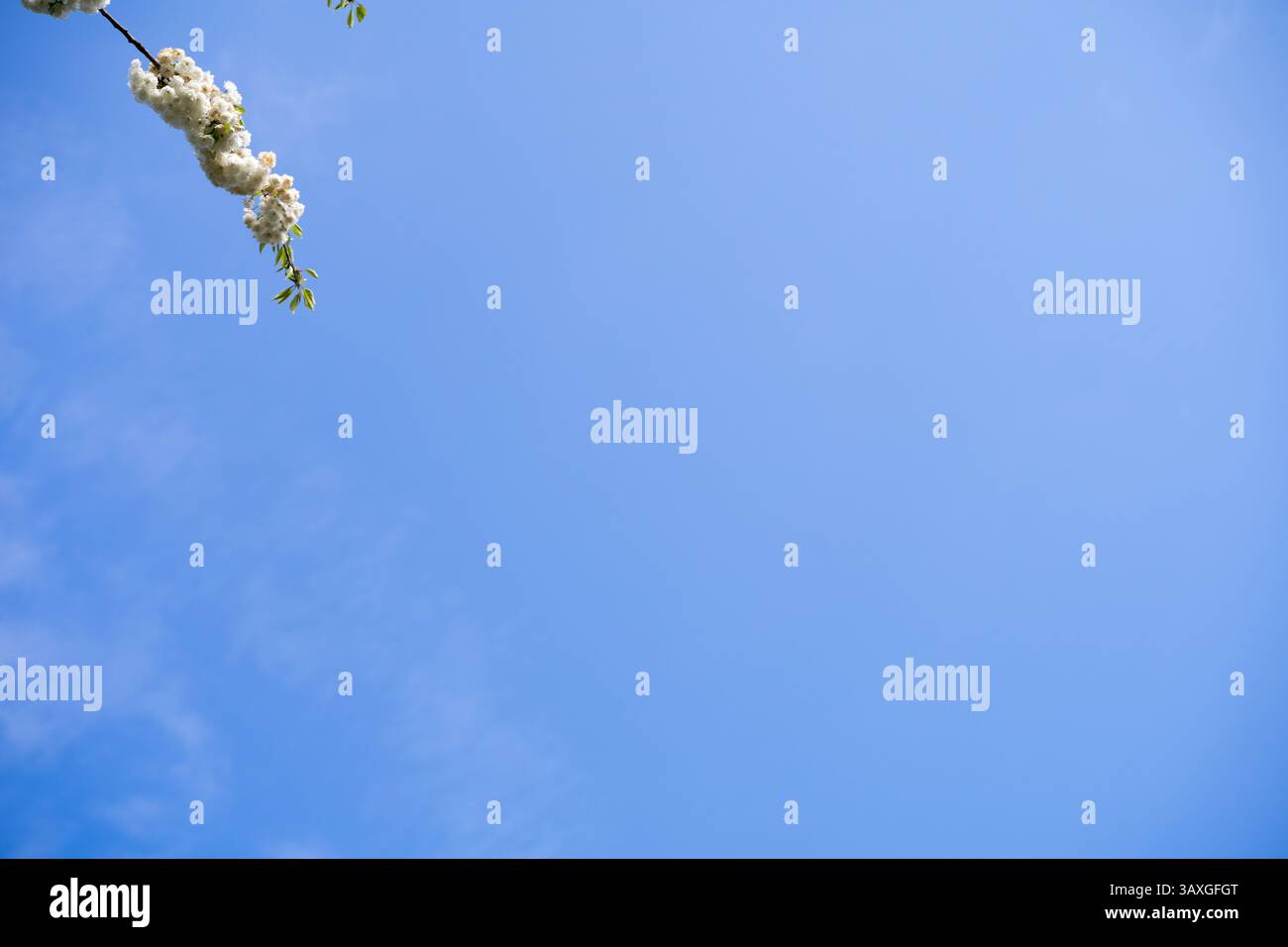 blue sky with visible light white cloud in the sky decorated with pure ...