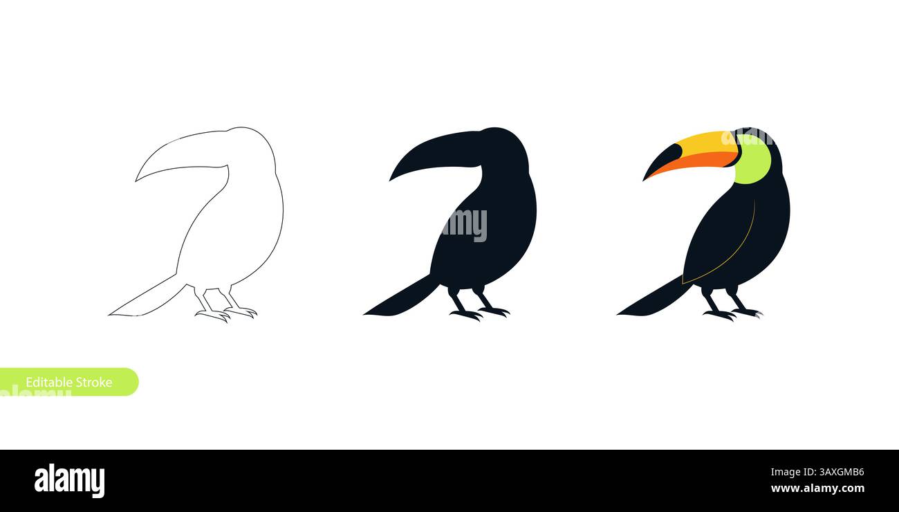 Evolution of Toucan Illustration from Outline to Full Color Stock ...
