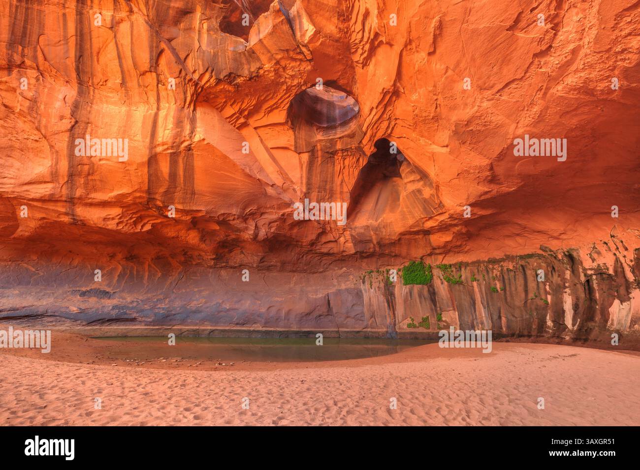 golden cathedral grotto in neon canyon of the escalante drainage in ...