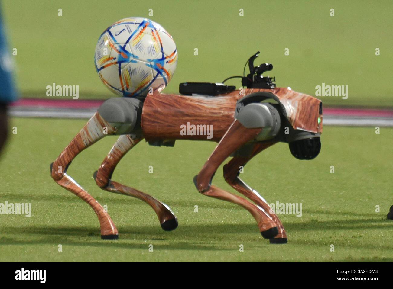 Kolkata, India. 21st Apr, 2025. The robot dog during the Indian Premier ...