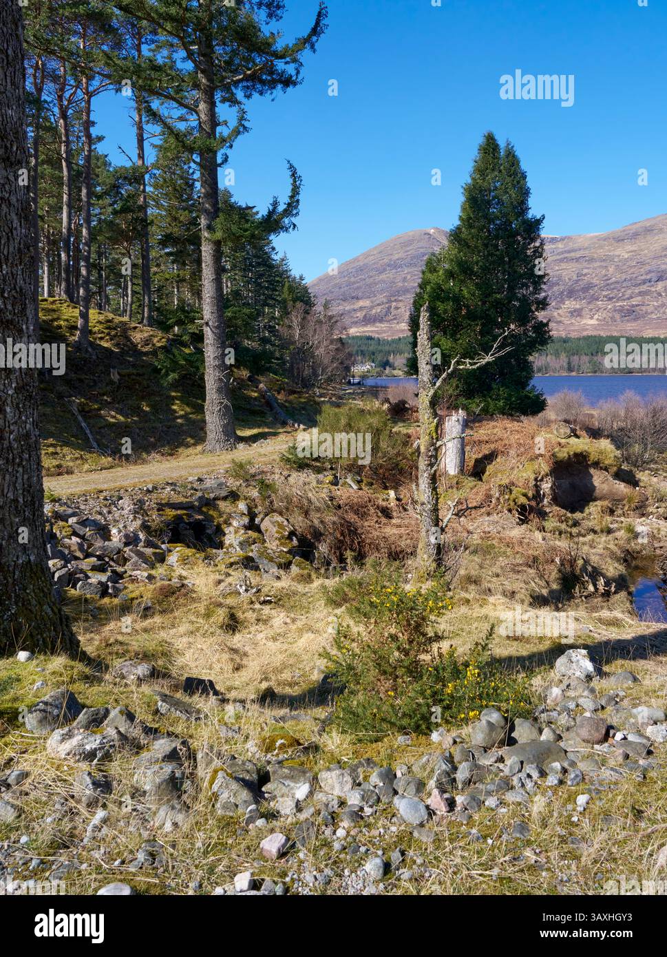 Tulloch lodge hi-res stock photography and images - Alamy