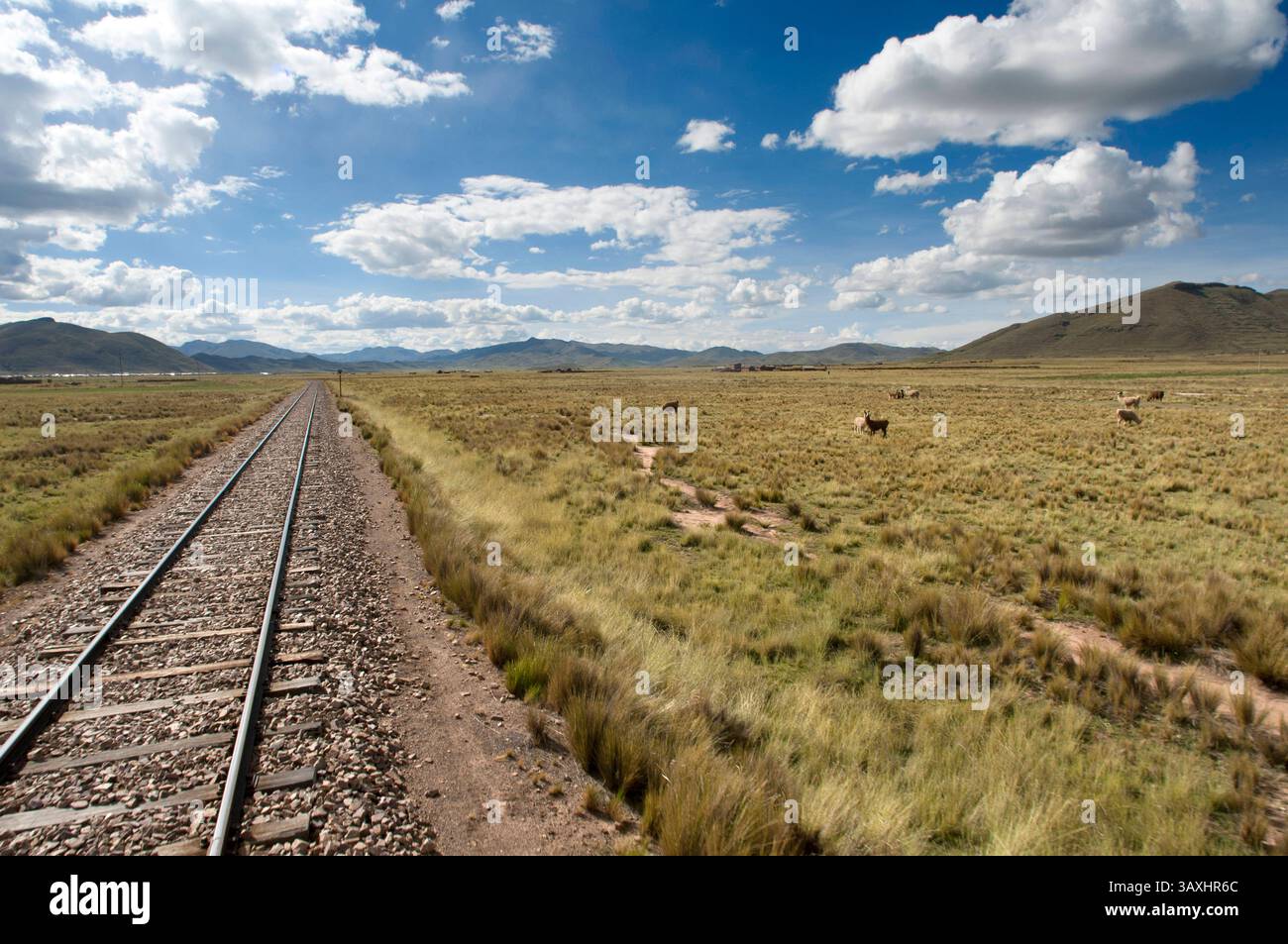 Oct 22, 2016 - Peru - Andean Explorer, luxury train from Cusco to Puno ...