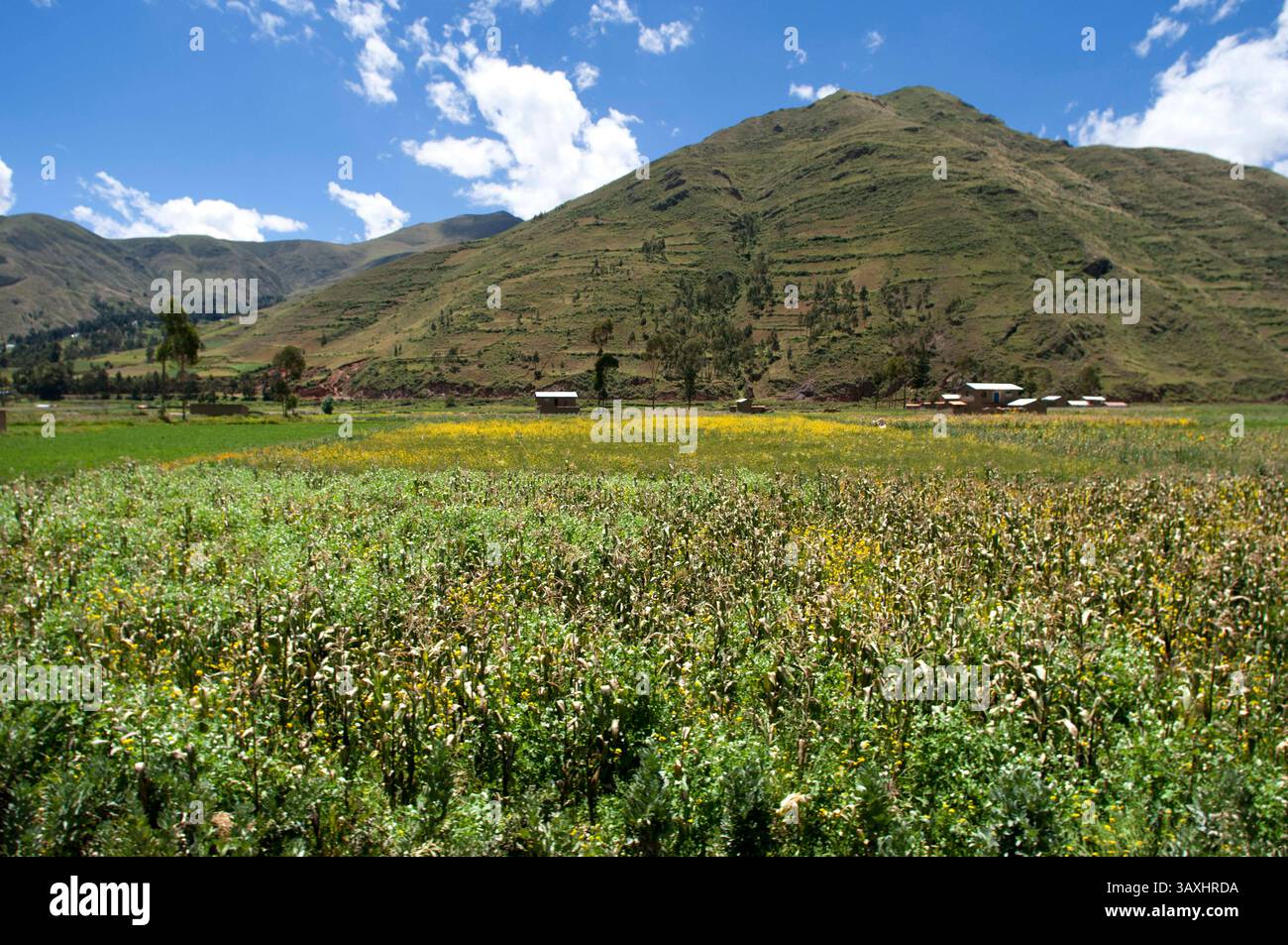 Oct 22, 2016 - Peru - Peruvian altiplano landscape seen from inside the ...