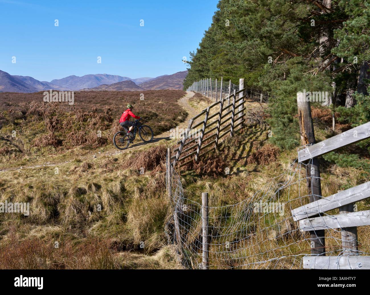 Mountain biker climbing up short rise across Scottish moorland Stock ...