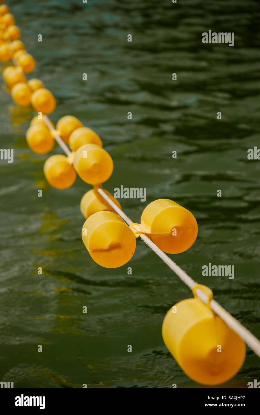 Yellow buoys floating on water in a calm sea scene. Weekend concept ...