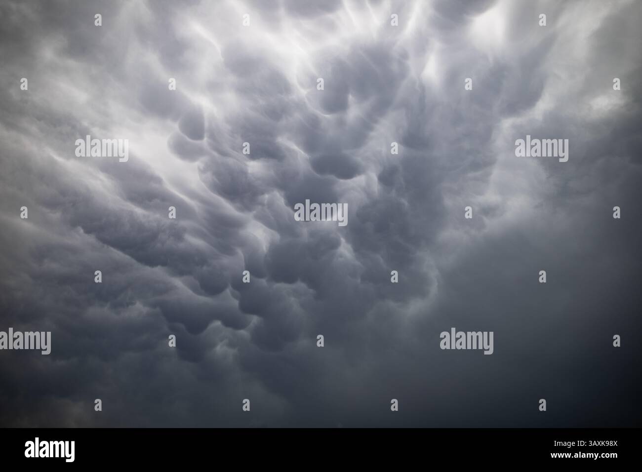 A striking formation of mammatus clouds looms in the sky, preceding a thunderstorm Stock Photo ...