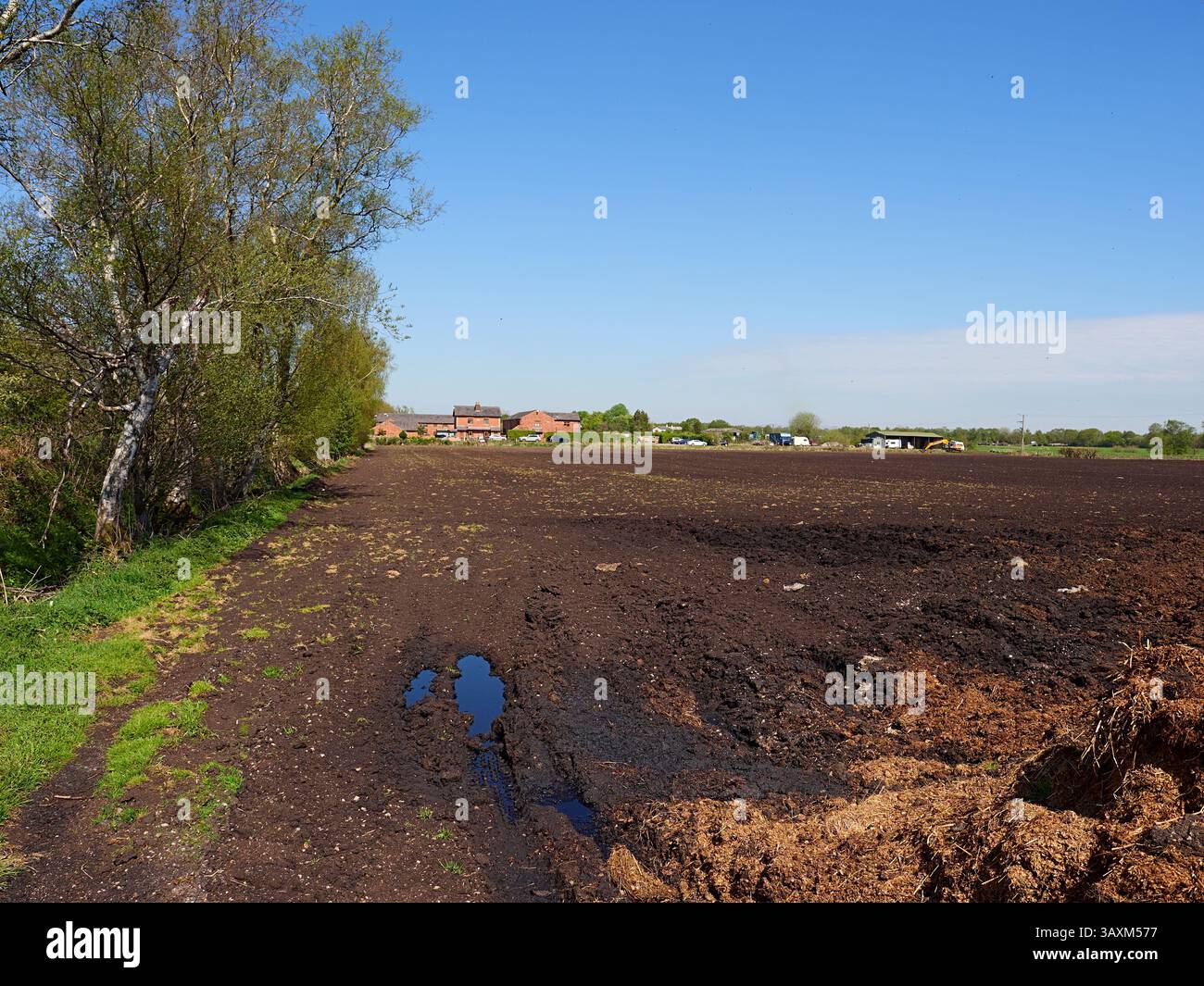 Barton Moss open farm land next to Rindle road towards Astley green ...
