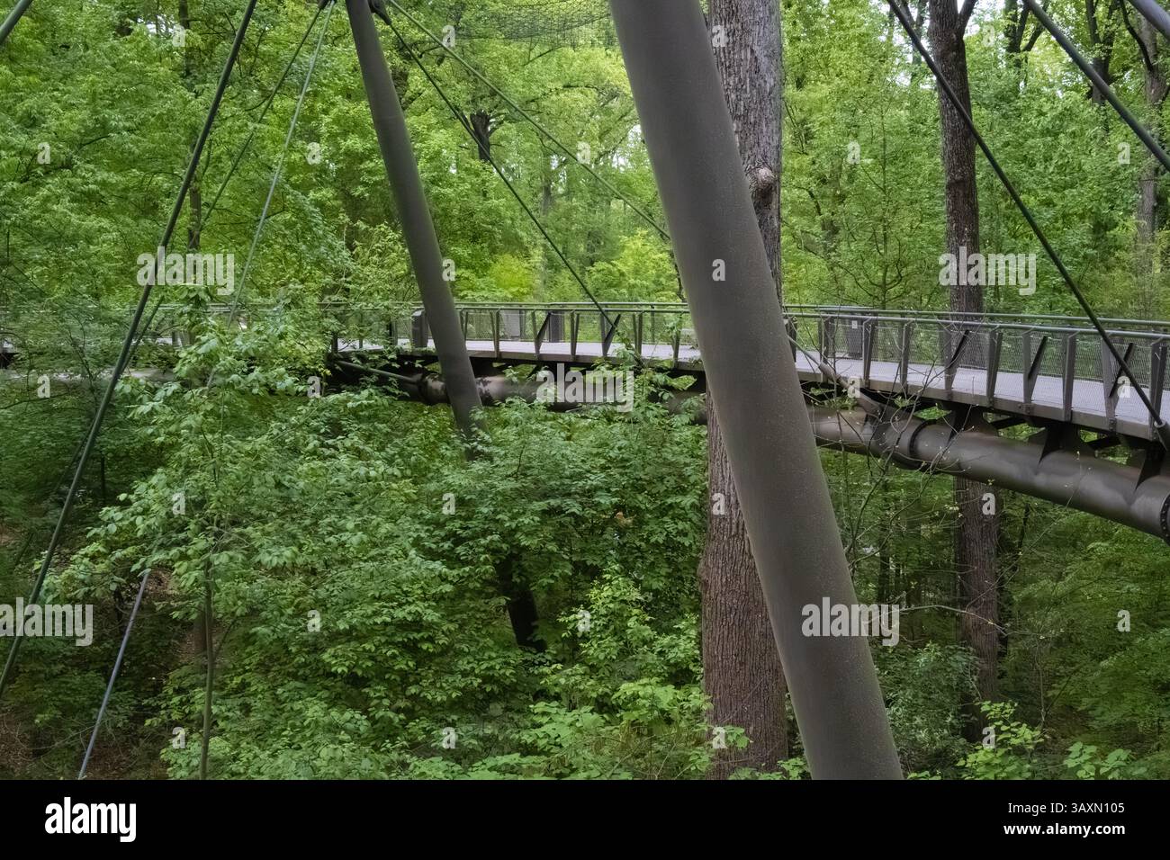 Atlanta botanical garden suspended walkway hi-res stock photography and ...