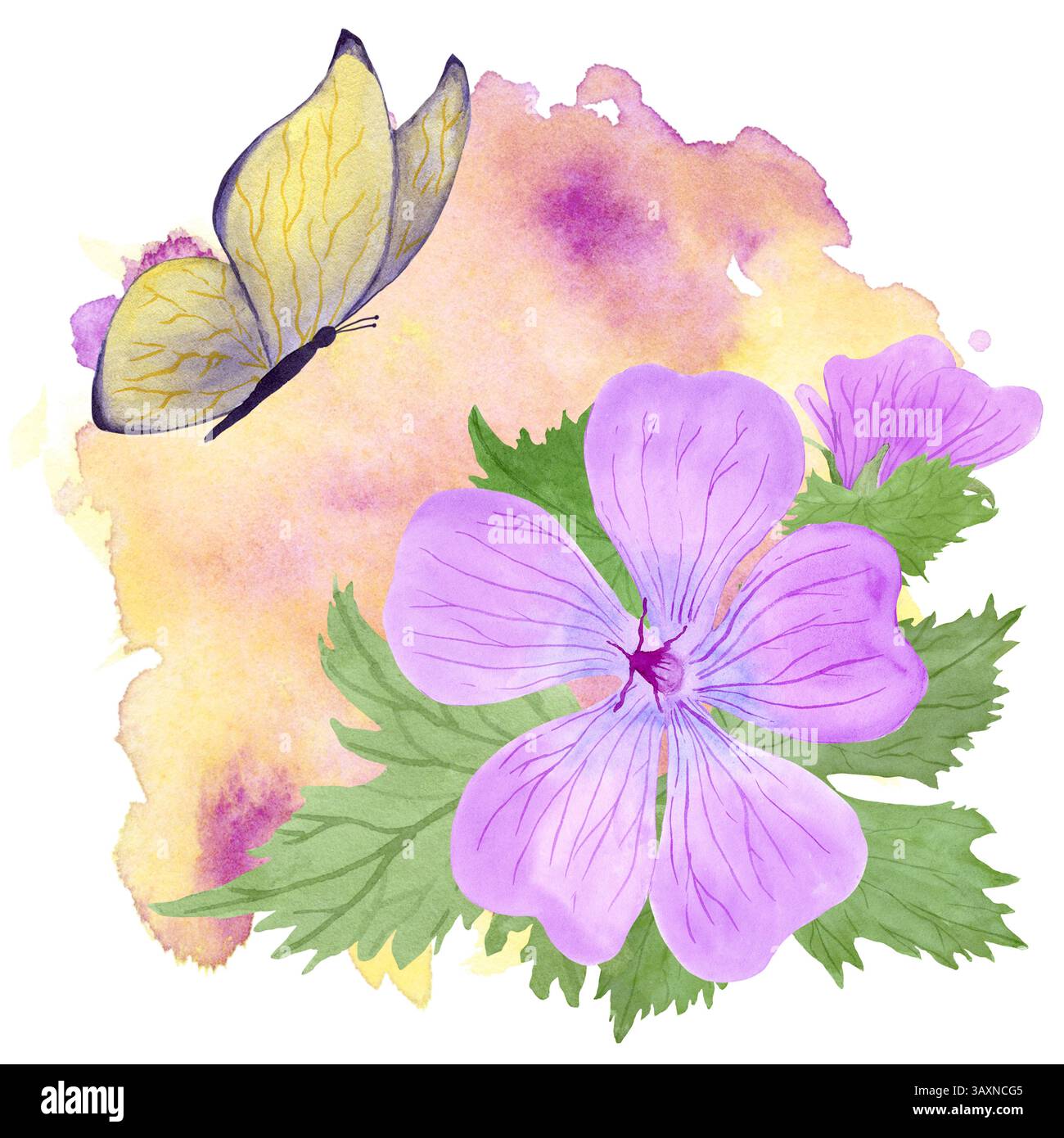 Composition of light purple geranium maculatum flowers and leaves ...