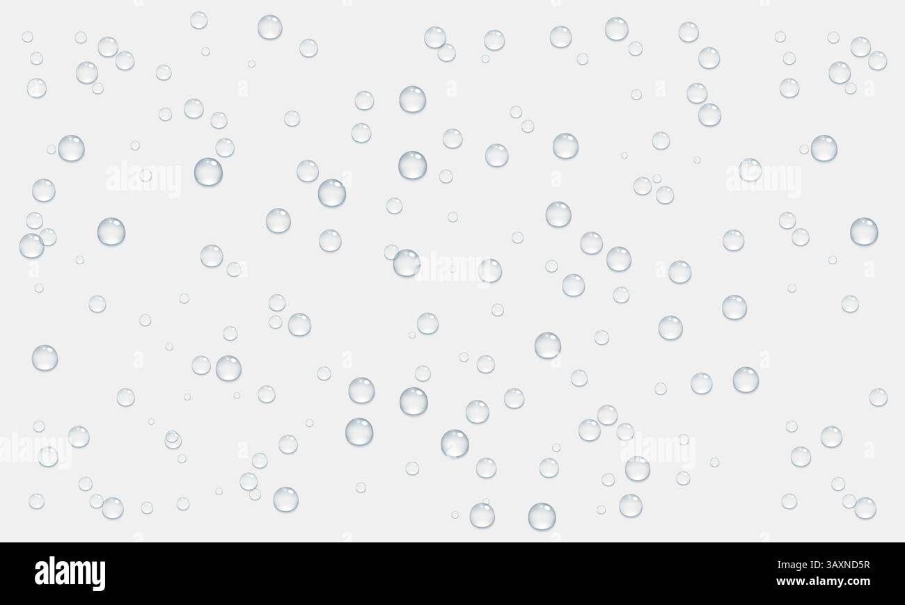 Drops water rain on transparent background, realistic style, vector ...