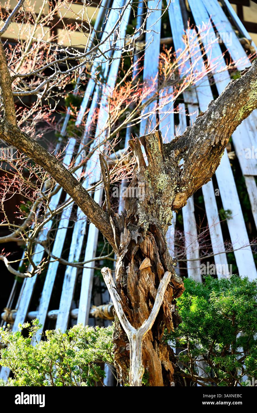 Home of the samurai warriors hi-res stock photography and images - Alamy