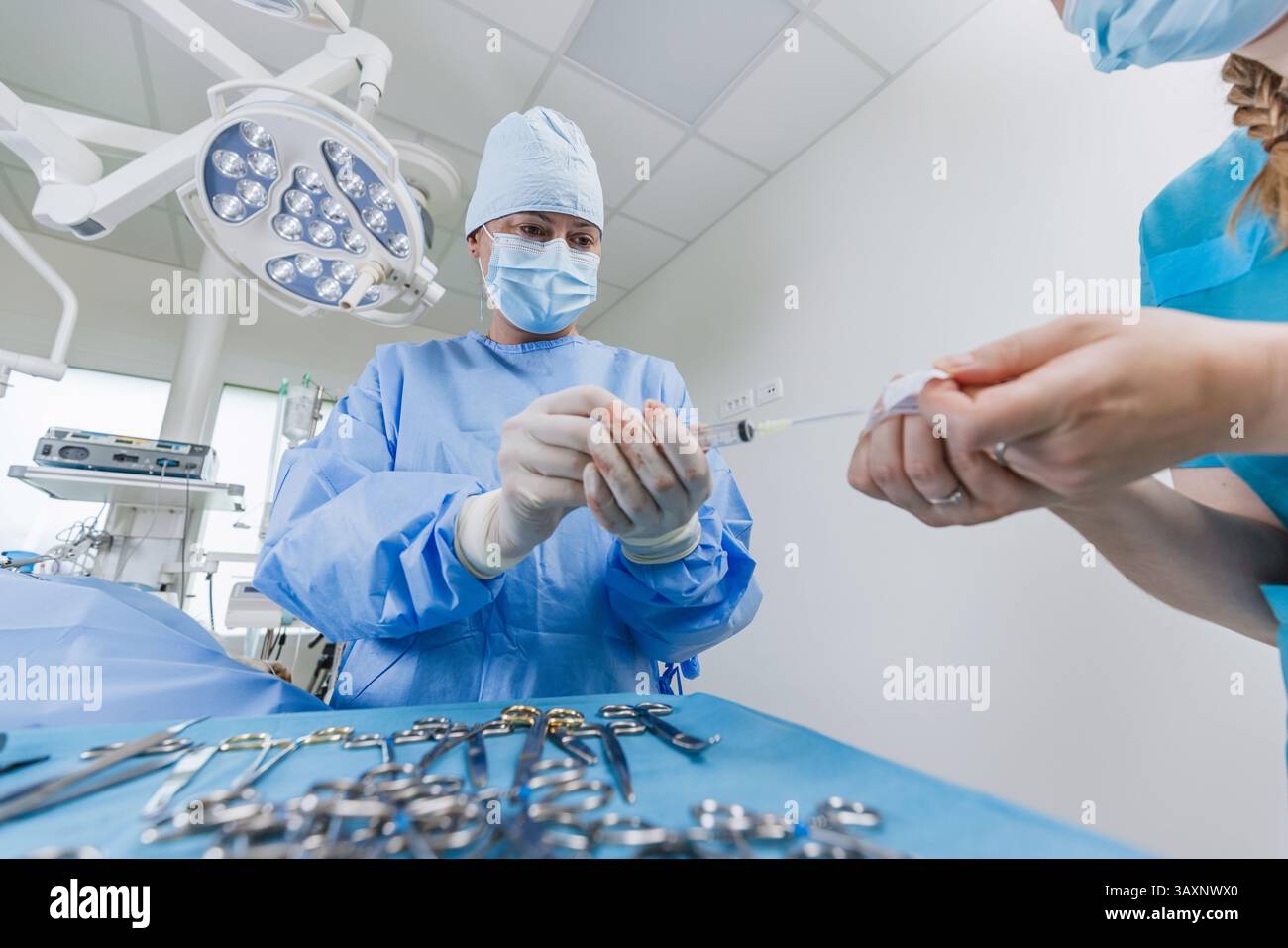 Dedicated female vet surgeon in a surgical gown, cap, and gloves ...