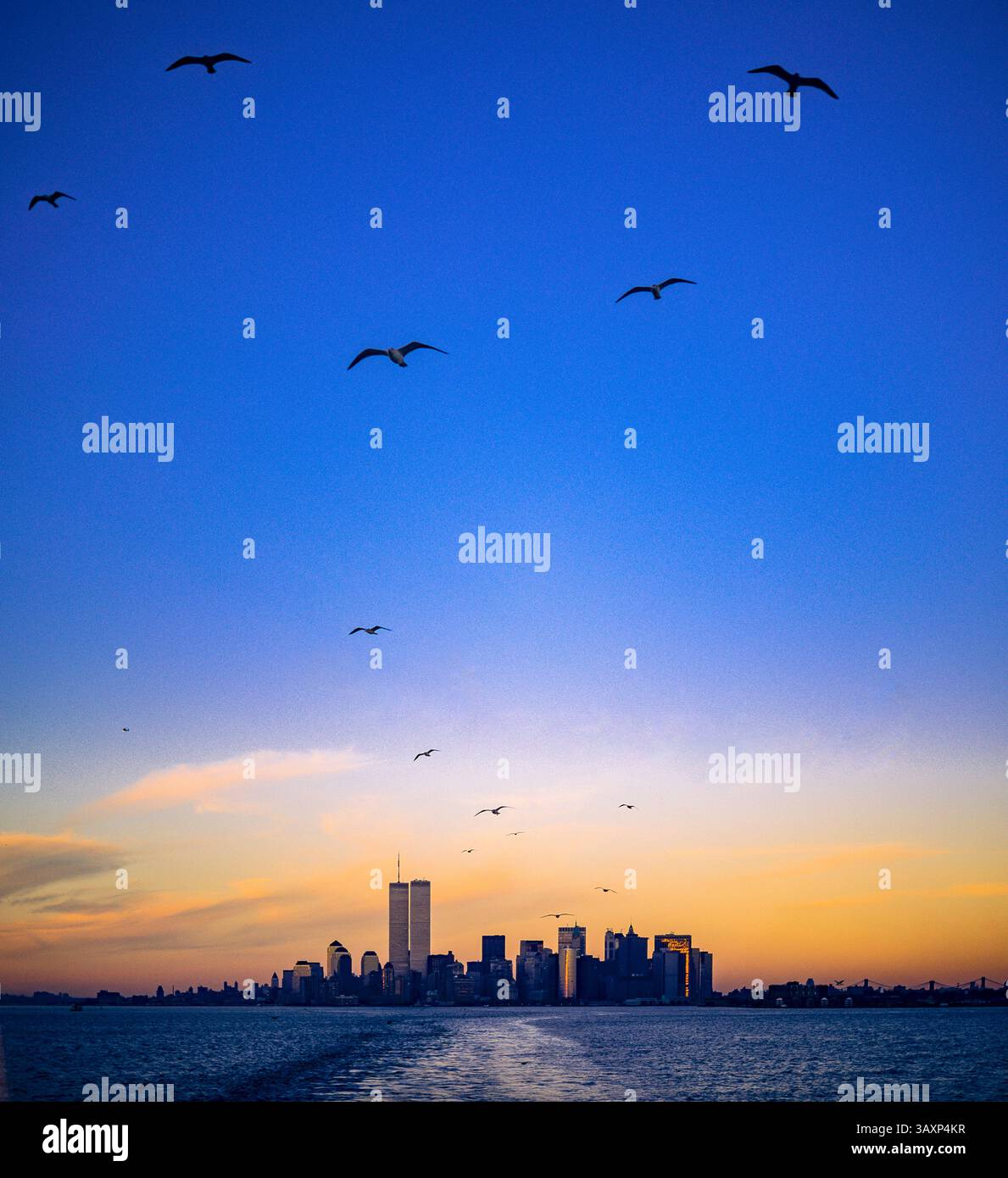 New York, vintage 1990s, lower Manhattan skyline, WTC World Trade ...