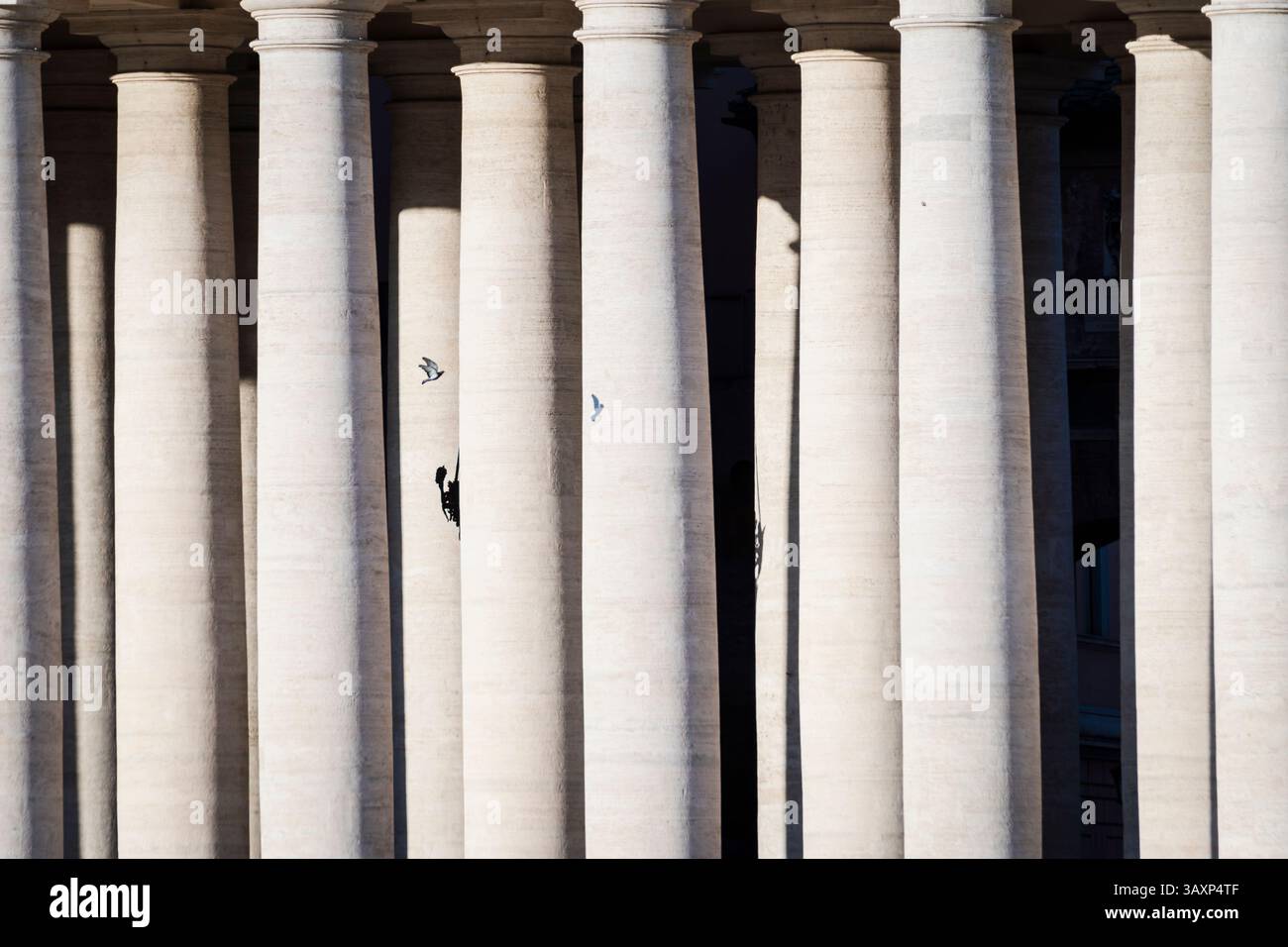 The colonnade of saint Peter Square in the Vatican City in Rome Stock ...