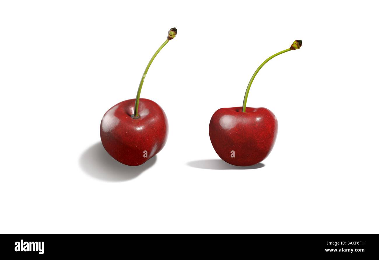 Front garden path Cut Out Stock Images & Pictures - Alamy