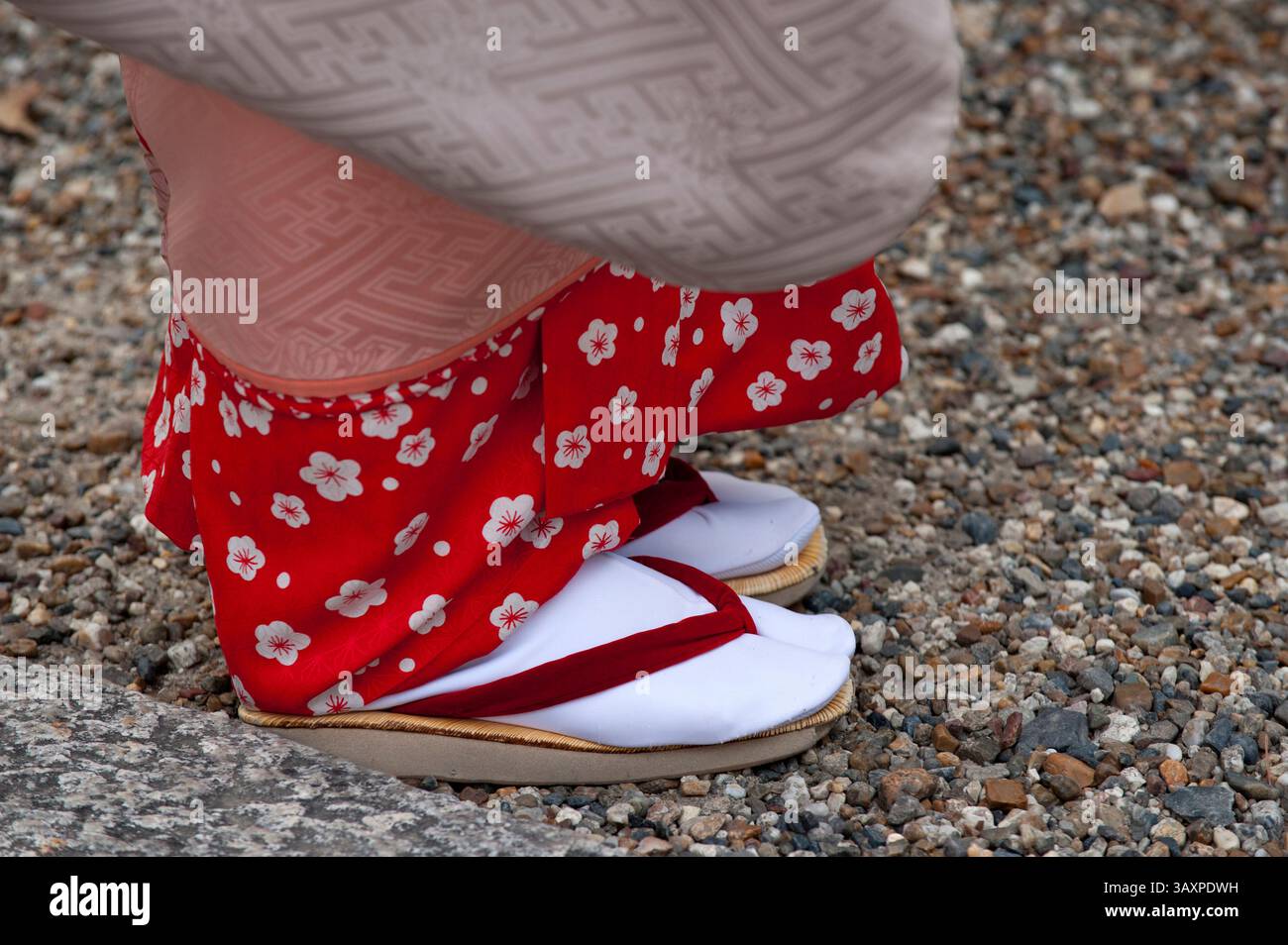 A woman wearing a traditional Japanese kimono with "tabi" (split-toe ...