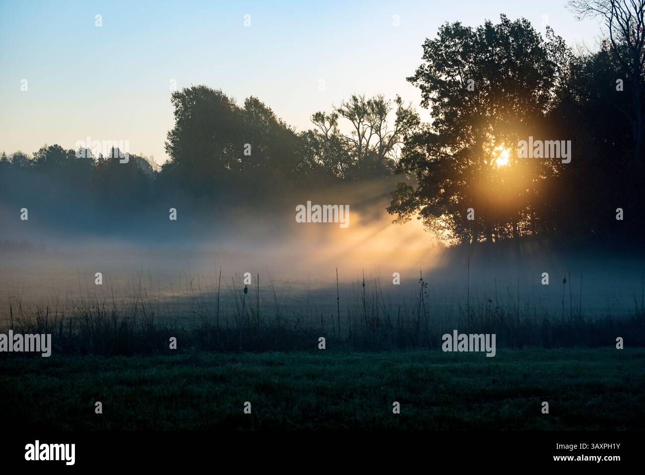 The magic of the golden light in the mist, never fails to amaze a ...