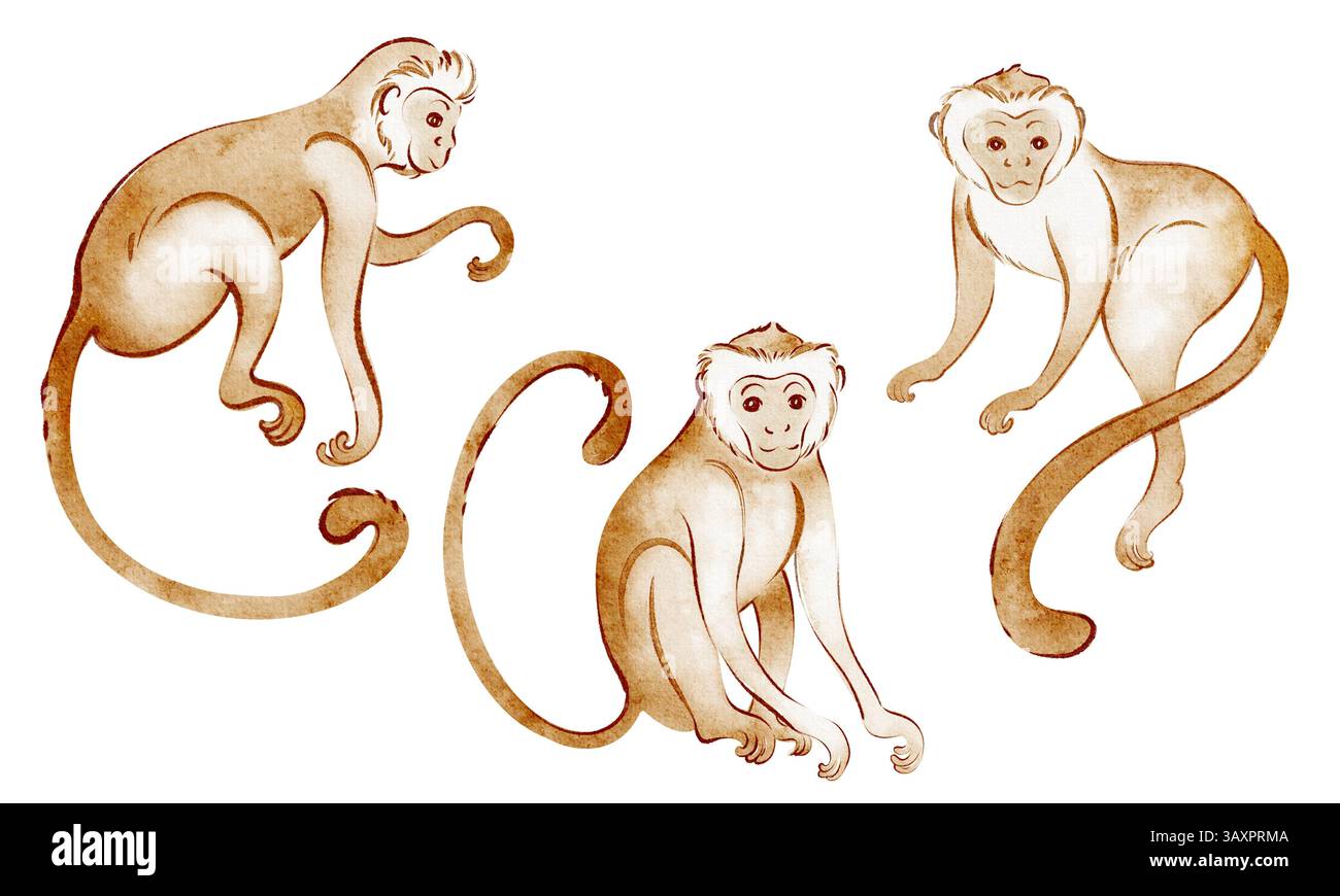 Collection of hand drawn macaque monkeys in watercolor. Set of wild ...