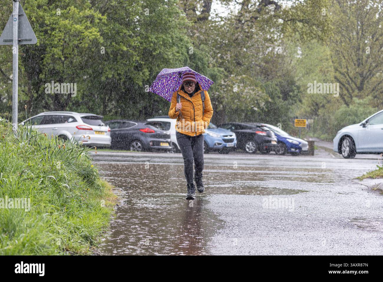 Bewdley, UK. 21st April, 2025. UK weather: it's a disappointing, wet ...