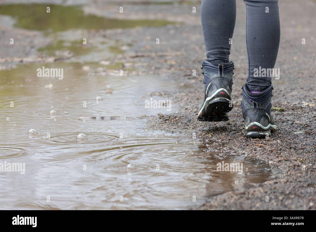 Bewdley, UK. 21st April, 2025. UK weather: it's a disappointing, wet ...